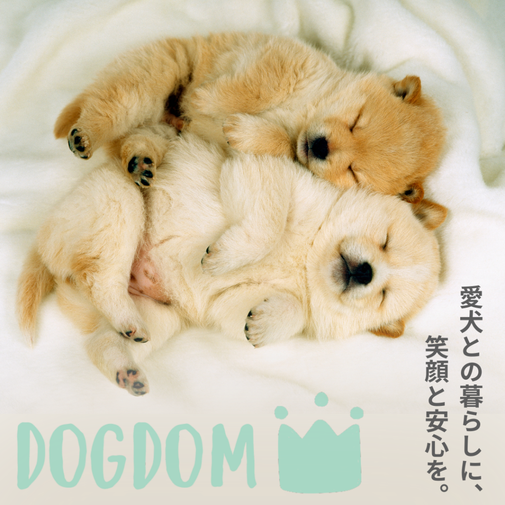 DOGDOM公式ホームページ | 愛犬との毎日に、笑顔と安心を。